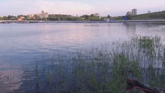 РЫБАЛКА НА КАРАСЯ В ИЮНЕ. ЗАКИНУЛ ПОПЛАВОК ЗА МОЛОДОЙ КАМЫШ. ЖОР КАРАСЯ В ТРАВЕ