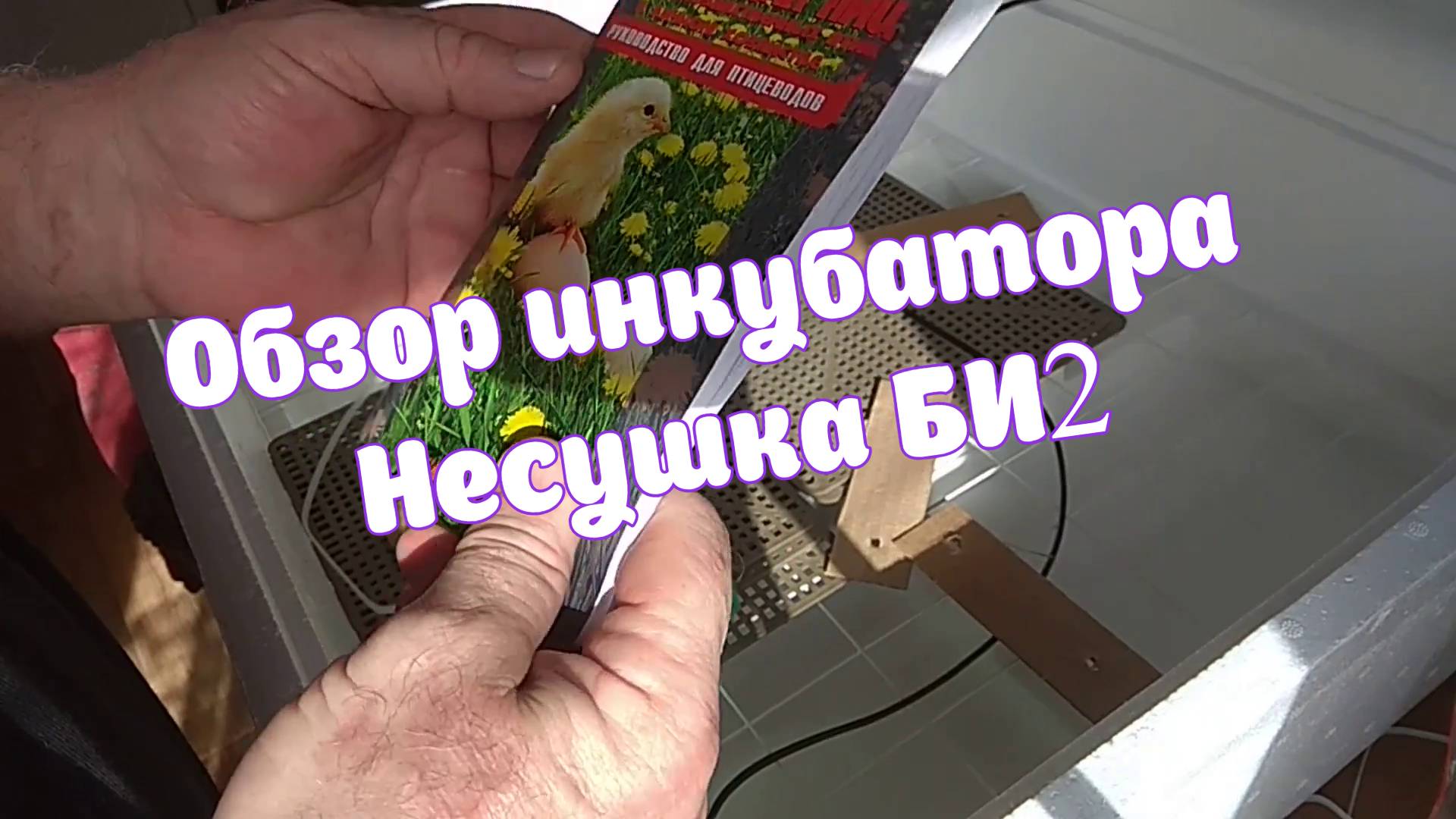 ОБЗОР ИНКУБАТОРА БИ 2 НЕСУШКА
