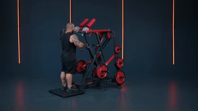 Multifunctional Viking Press and Calf Panatta FreeWeight Special