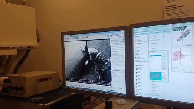 СЭМ 2019 полимеры