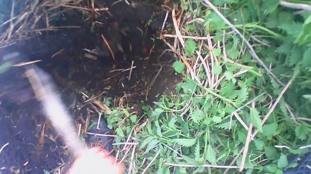 ВЫБИТЫЕ МЕСТА РАЗОЧАРОВЫВАЮТ!!!!!