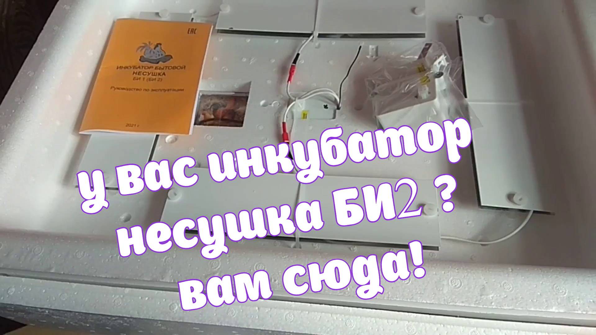 У вас инкубатор НЕСУШКА_ Вам сюда!