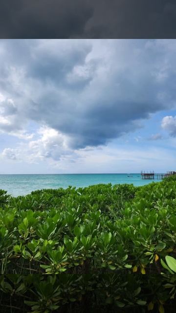 Отель Essque Zalu 5* Танзания