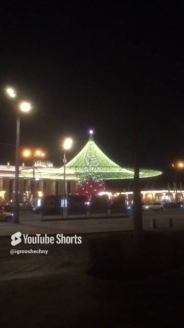 Пара ёлок #елка #елкановогодняя #москва #пг