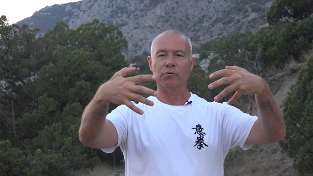 ШКОЛА ИЦЮАНЬ-8 /l Усилия в столбах (наружу-внутрь) / Ченбао Чжуан, Тибао Чжуан