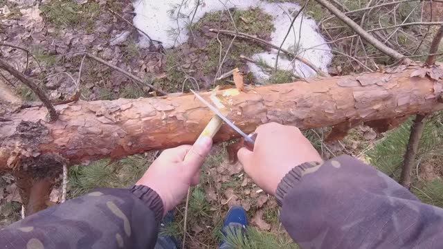 ОДИНОЧНЫЙ ПОХОД В ЛЕС. ПЕЧКА ЩЕПОЧНИЦА. ПРИГОТОВИЛ ВКУСНОЕ МЯСО НА ОГНЕ