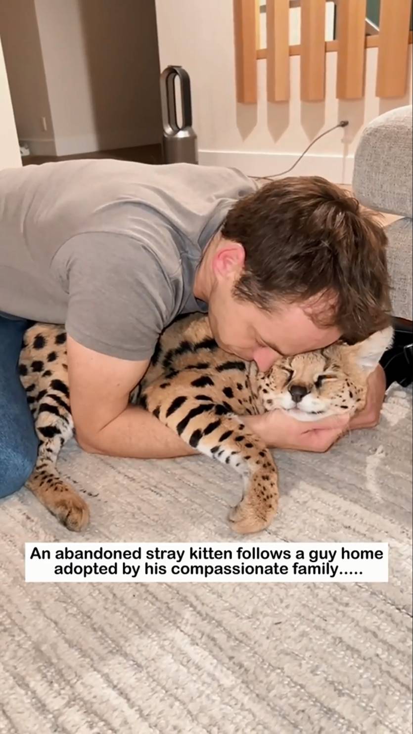 Мир не без добрых людей ! 9