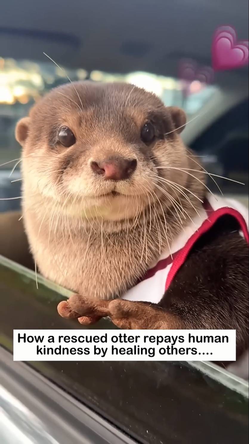 Мир не без добрых людей ! 8