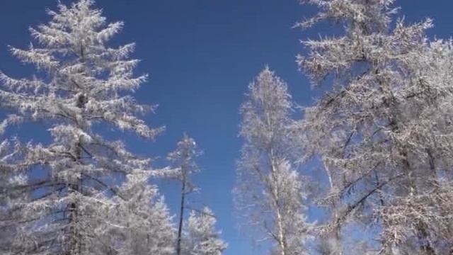 Зима стихи\назмула