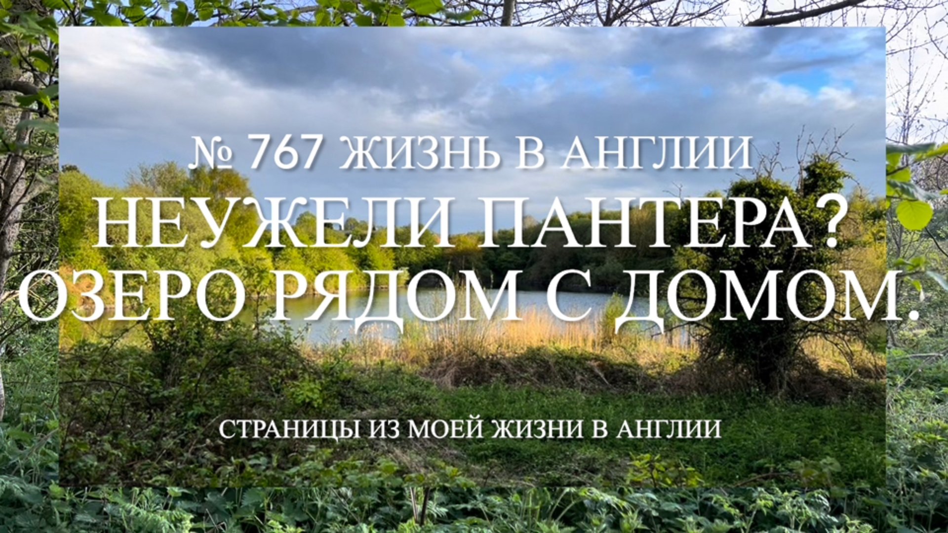 Неужели это пантера? Прогулка по заповеднику к озеру. № 767 Жизнь в Англии