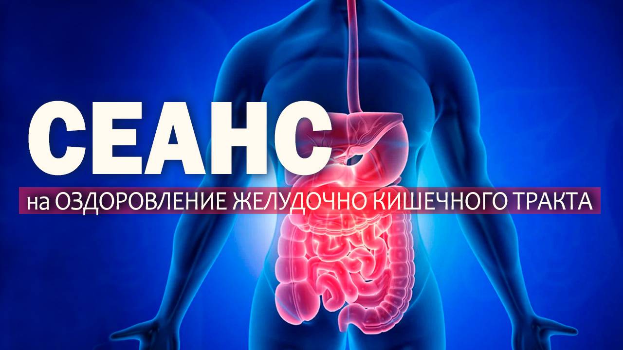 Сеанс на оздоровления ЖКТ (желудочно кишечного тракта)