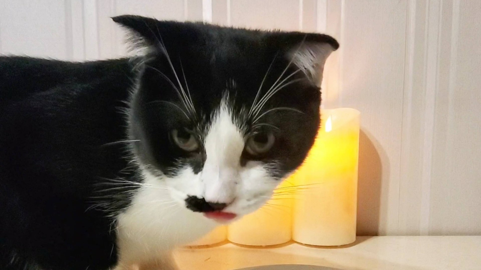 Ужин при свечах