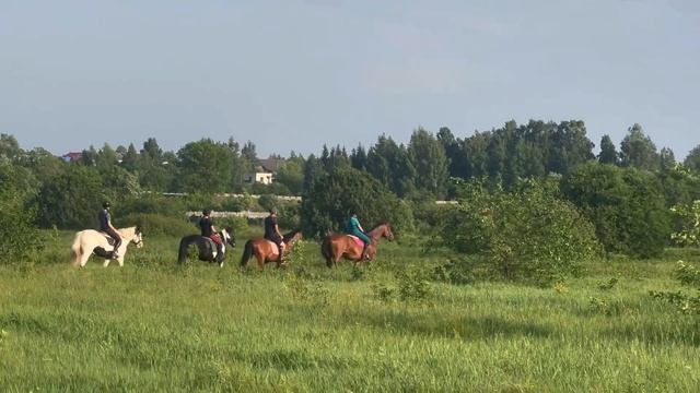 Конная прогулка - приглашаем по окрестностям "Зелёной Слободы"!