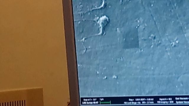 СЭМ 2019 г полимеры
Активированная плёнка