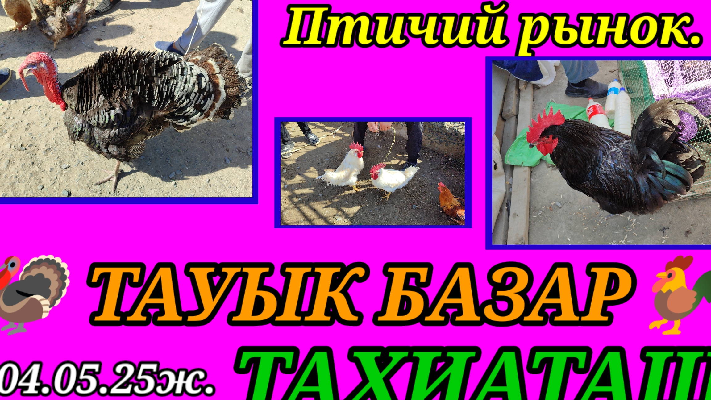 15-05-2025 ПТИЧИЙ РЫНОК