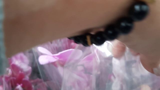 15.05.2025г. Свежие орхидеи в с/ц Планета лета.