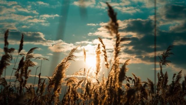 Джаз в стиле лоу-фай, фоновая музыка джаз, lofi jazz background music