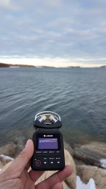 Вода и ветер? В этом ролике вы услышите настоящие звуки Антарктиды!