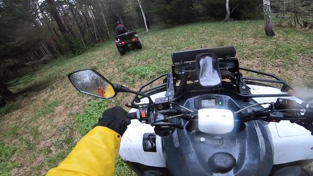 Паша Чермосанский лес