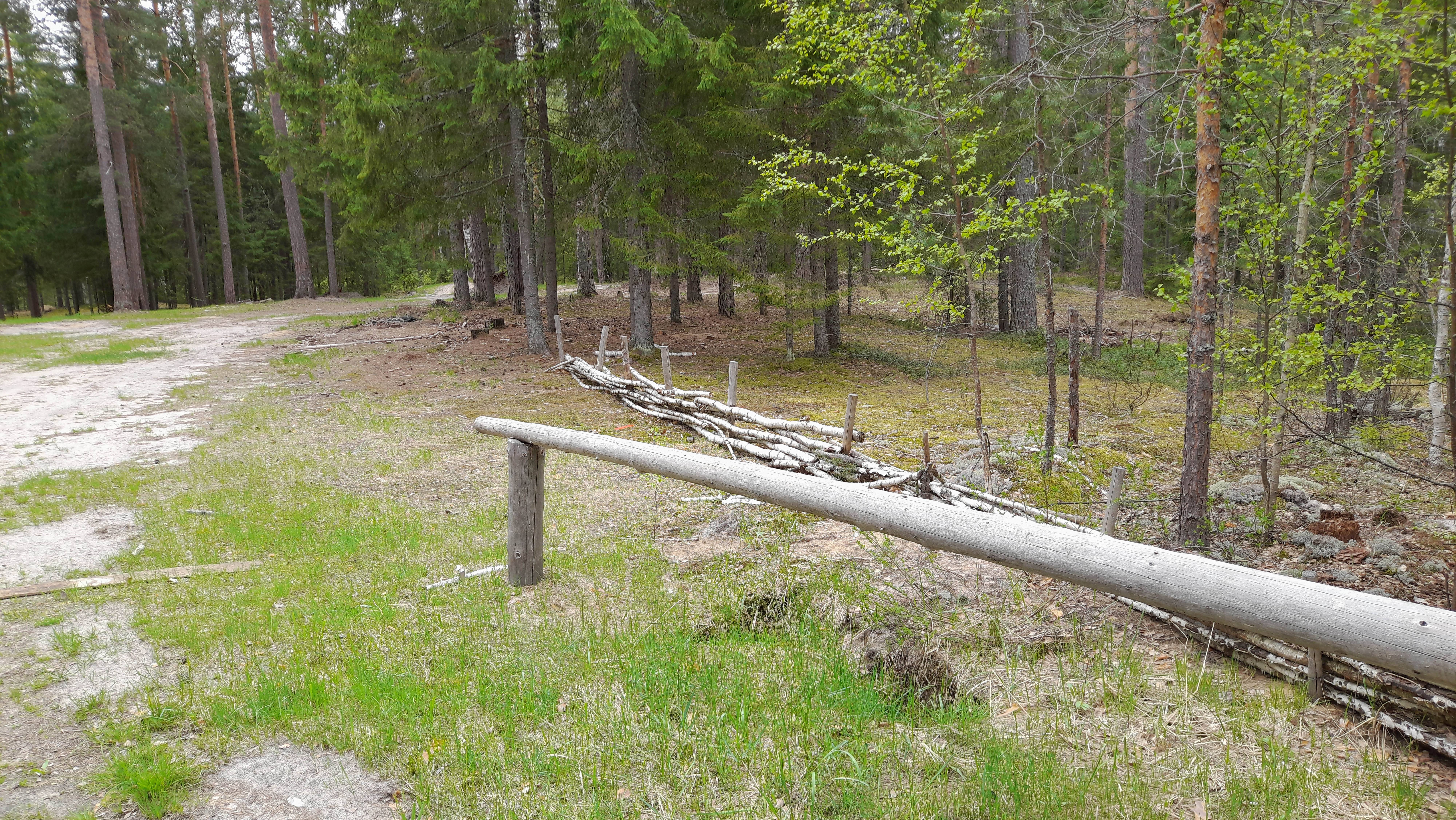В лесу с МД (респ. Марий Эл)