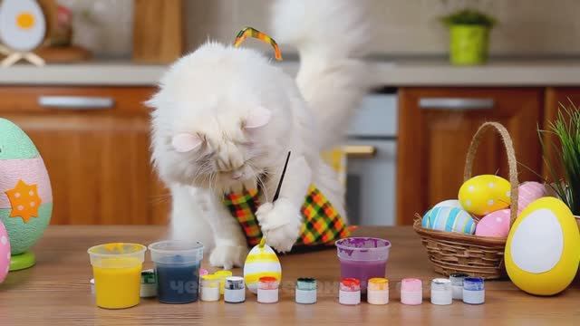 🎨🐱 ПАСХА и КОТ: самый уютный мастер-класс весны! 🌸✨