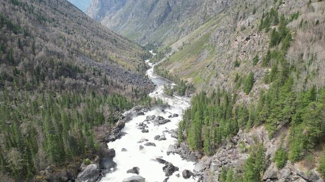 Горный Алтай. Цветение маральника. Водопады.