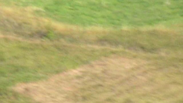 Красивые деревенские поля