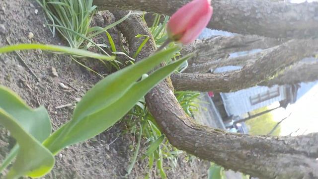 ПОЗДРАВЛЯЕМ С ДНЁМ ПОБЕДЫ!!!