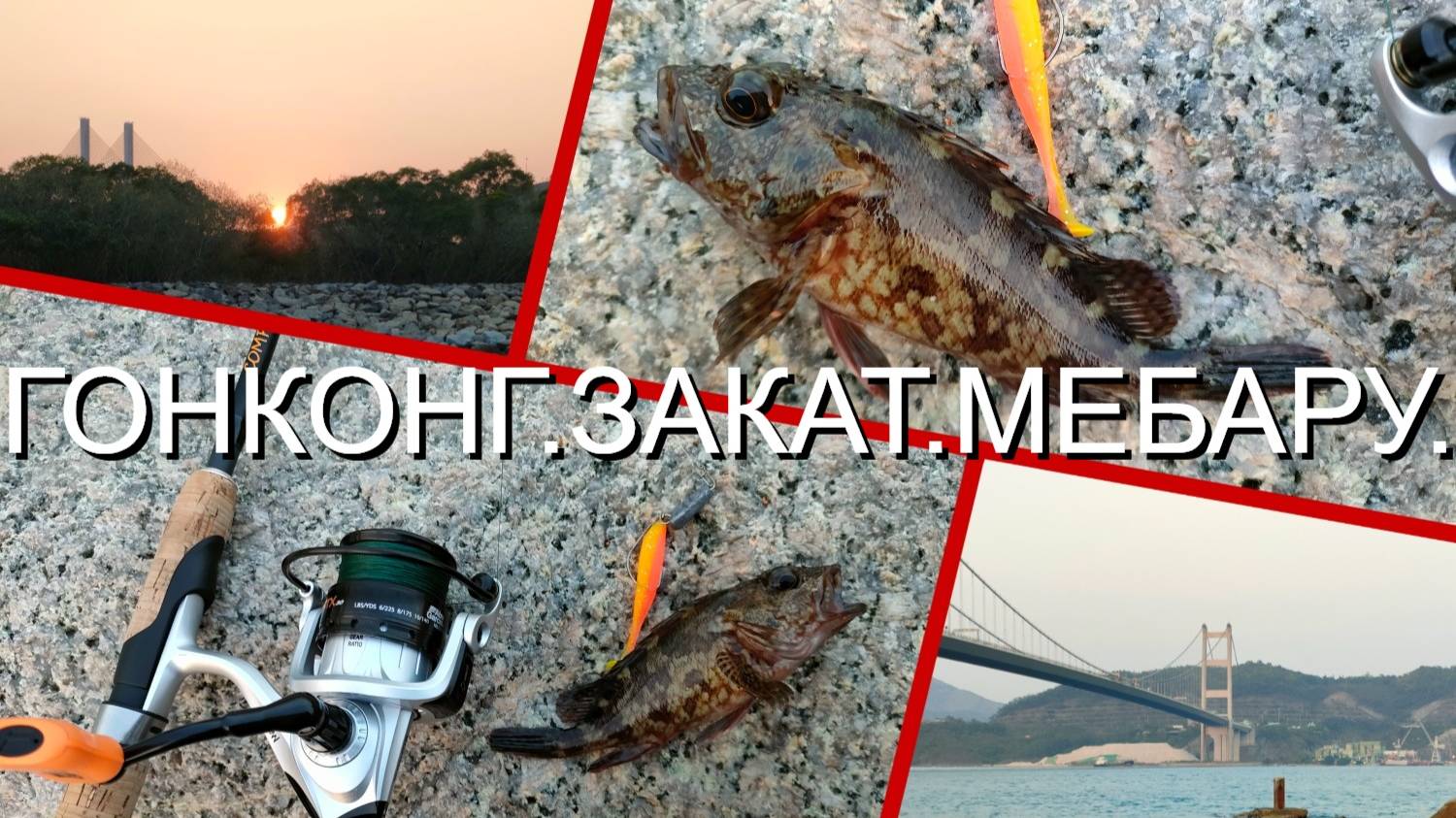 Гонконг. Закат. Выпуск 2: поймал мебару.