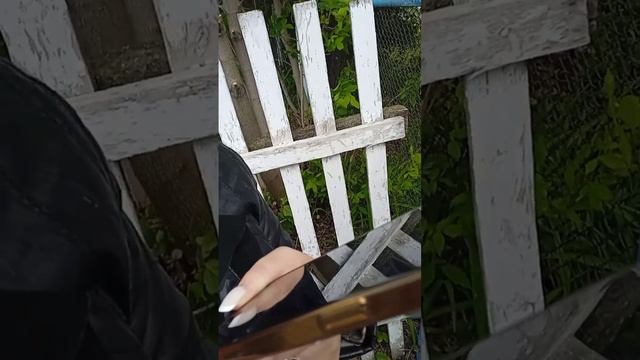 Никогда такого не было, и вот опять. Где контролеры от регионального ЕДРА, которых обещал прикрепить