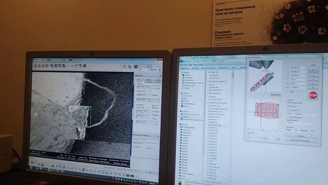 СЭМ 2019 год полимер Ф2 прессованный