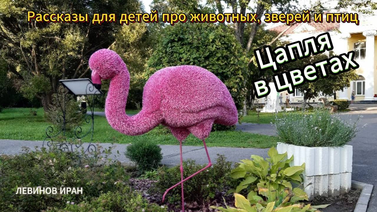 Цапля в цветах. Рассказы и стихи для детей про животных, зверей и птиц. Детский писатель Левинов И.