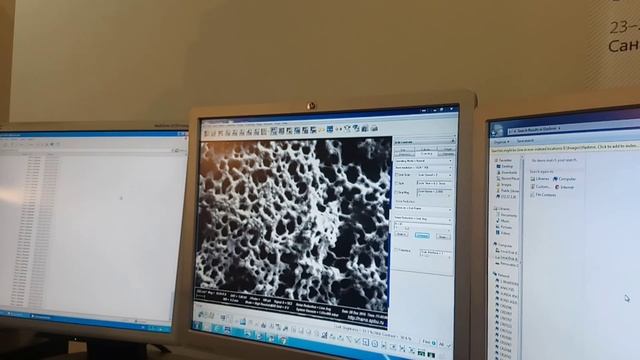 СЭМ   2019 год