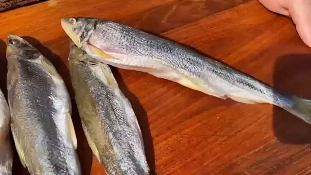 Корюшка Вяленая 25+ серебрянка икрянная