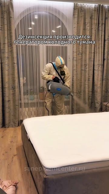 Уничтожение клопов тараканов и других насекомых в квартире