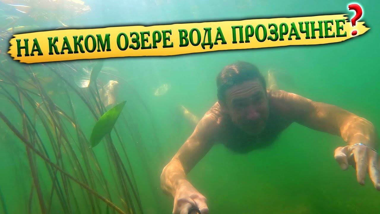 378. Тест на прозрачность воды. Озеро Линево, озеро Данилово, озеро Щучье Омская область. Окунево.