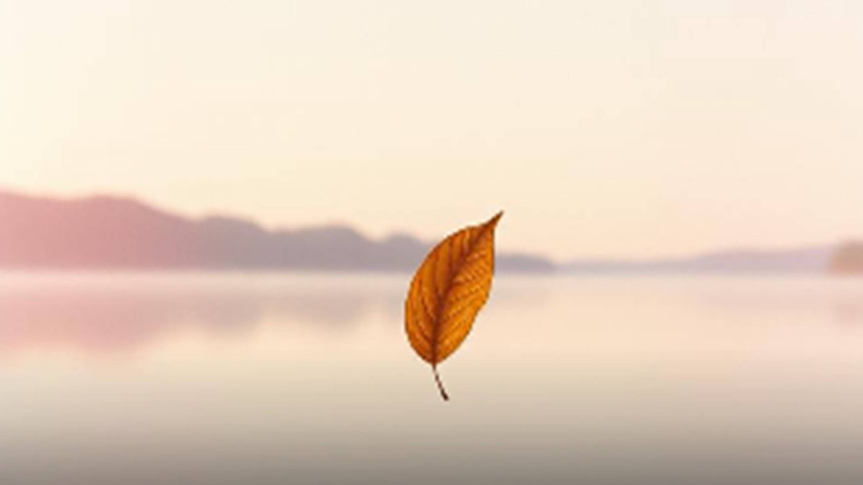 Я лист брошенный (дуэт))