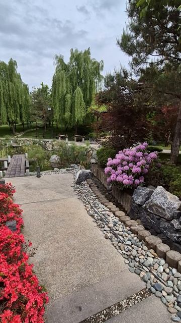 Посмотрите, какая красота!