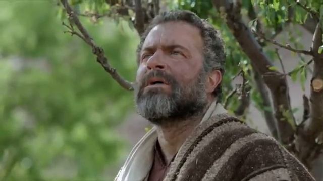 Зачем Бог принимал жертвы животных? — Тайны святилища, серия 3 | Тайны Святилища