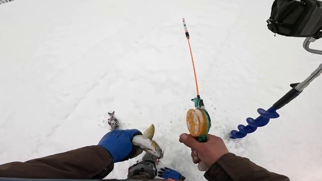 ЗИМА ПРОДОЛЖАЕТСЯ | ХАРИУС | РЫБАЛКА 1 МАЯ | РЕКА СЕВЕРНАЯ