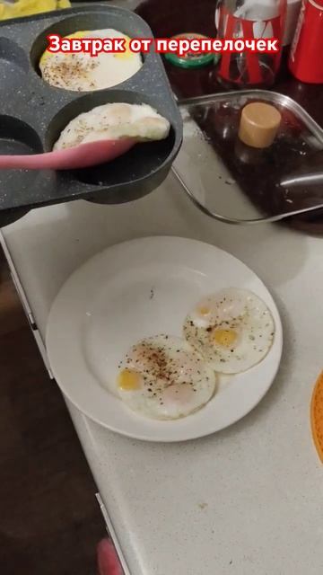 Готовый продукт от перепелок #клеткидляперепелов #перепелинаяферма #перепелки