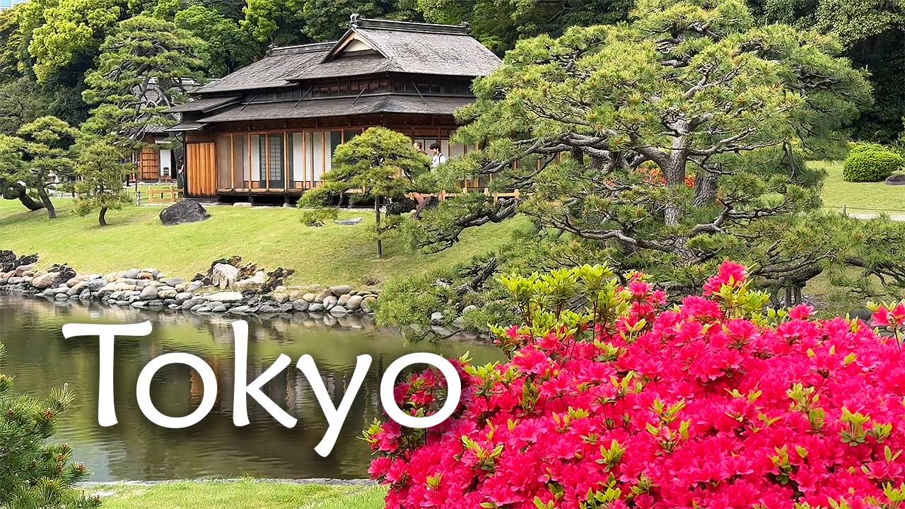 ПУТЕШЕСТВИЕ ПО ЯПОНИИ. Часть 1 — Токио