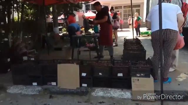 ☀️Гостиница "Орхидея" / Крым / Севастополь / п.Николаевка/ день 8