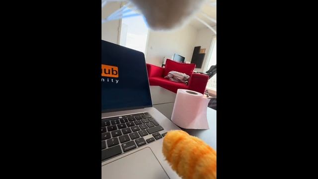 #Денькота #Животные #Кот #Прикол #Юмор #Топ #