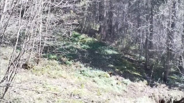 Песня ✨Просто жить✨😍🏡💕✌️🌈