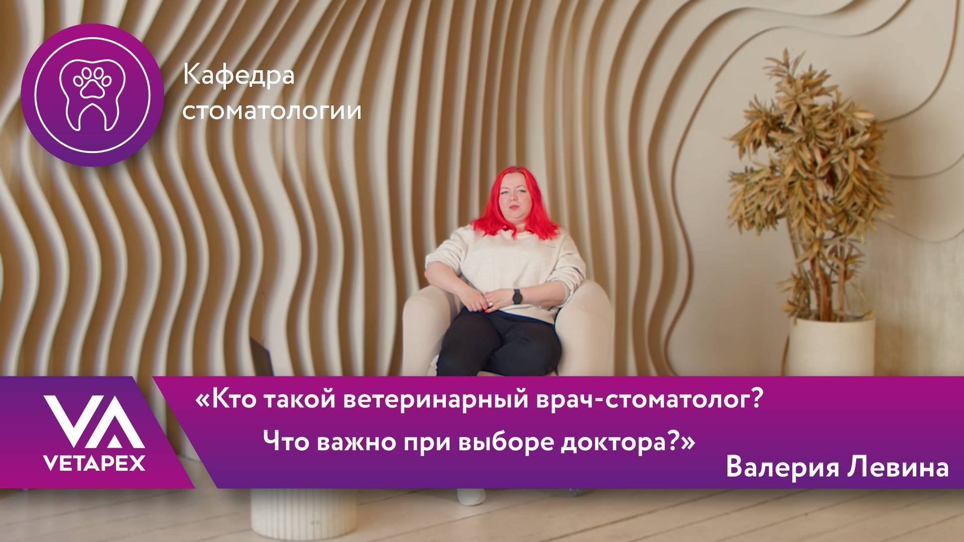 Кафедра Стоматологии «Кто такой ветеринарный врач-стоматолог? Что важно при выборе доктора?»