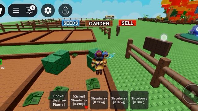 выращиваю сад в roblox