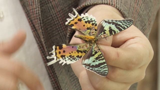 Умные каникулы УМКА | ГораТау | Тау-тау хәбәр | ТАМЫР