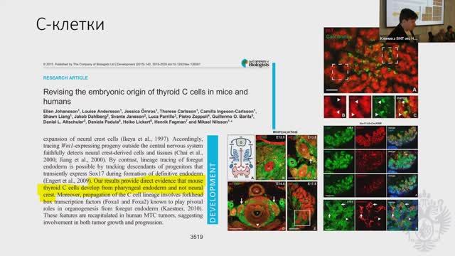 Опухоли из С-клеток щитовидной железы:хорошие: плохие, злые.
