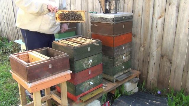 Создание отводка -нуклеуса. (сюжет 18)